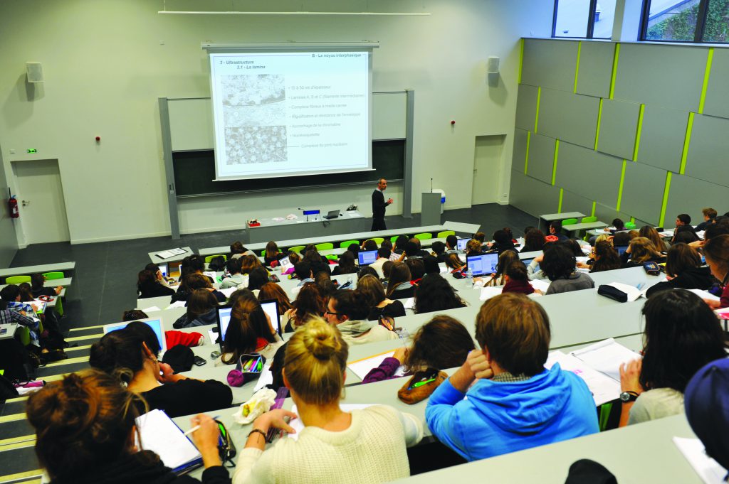 Les effets d’une démarche d’approche-programme sur les équipes de ...